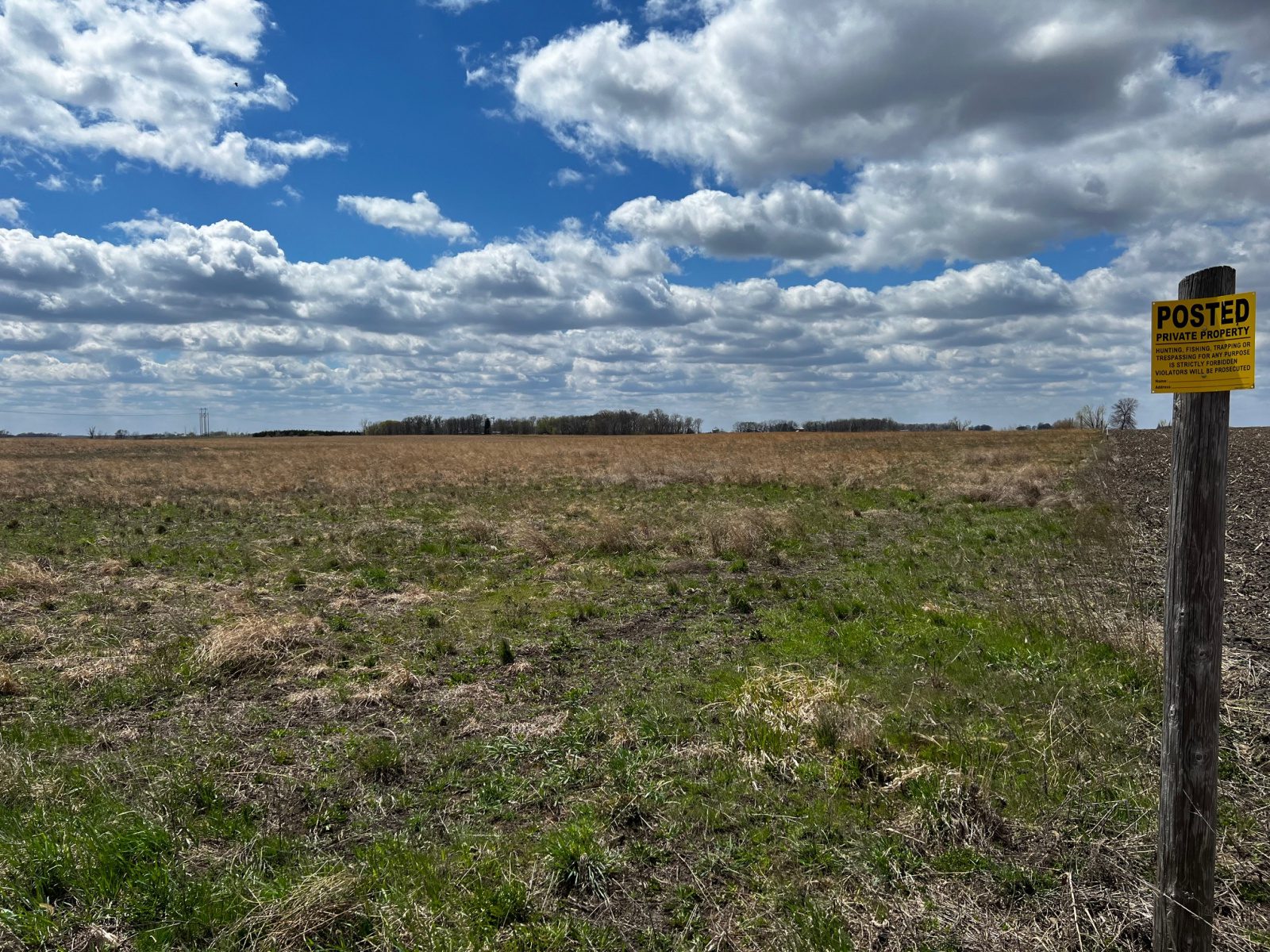 49.68 Acres of CREP & CRP Land near Courtland, MN - Mages Land Company ...