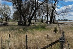 49.68 Acres of CREP & CRP Land near Courtland, MN - Mages Land Company ...